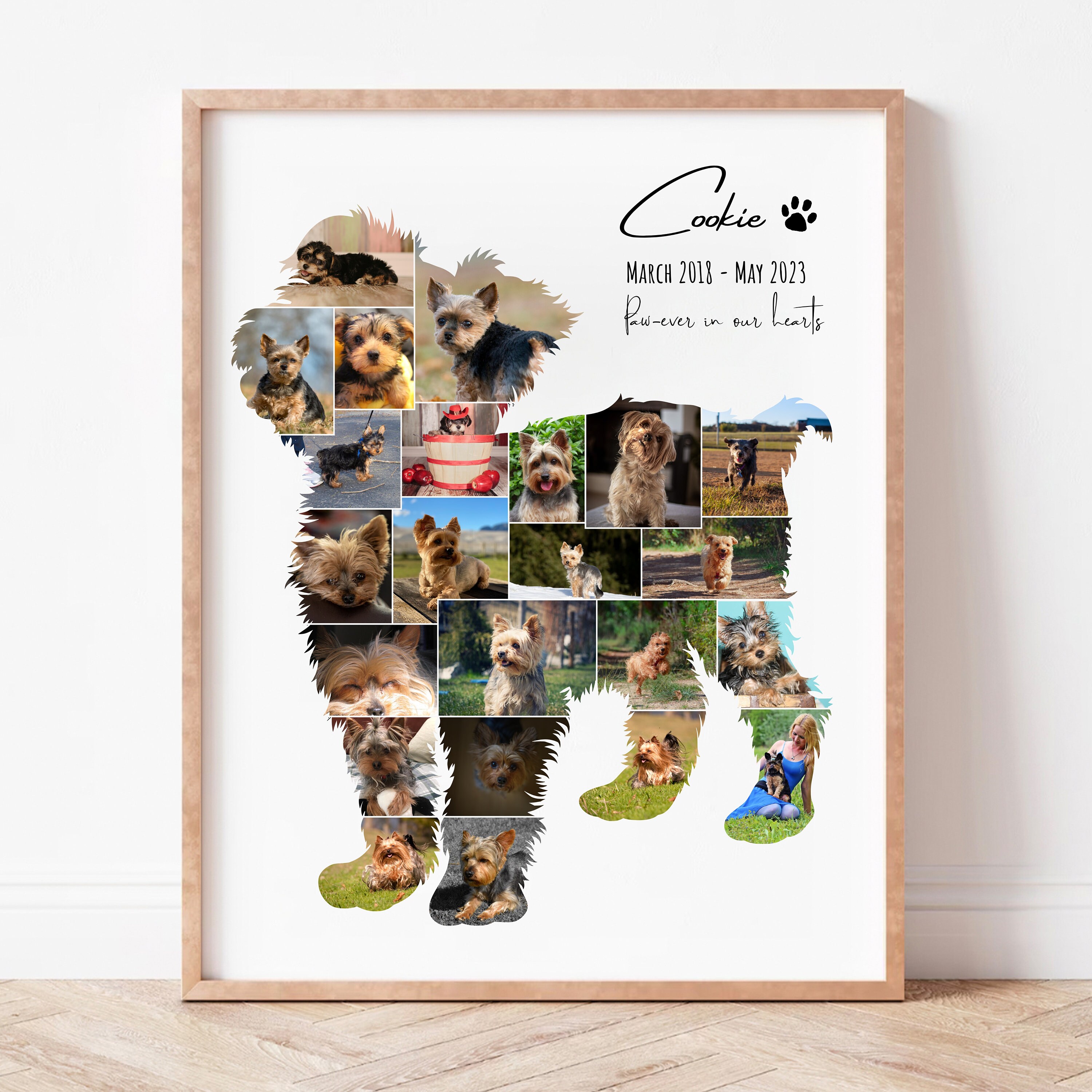 DIGITAL Yorkshire Terrier Photo Collage, Gift for Dog, Dog Memorial ...