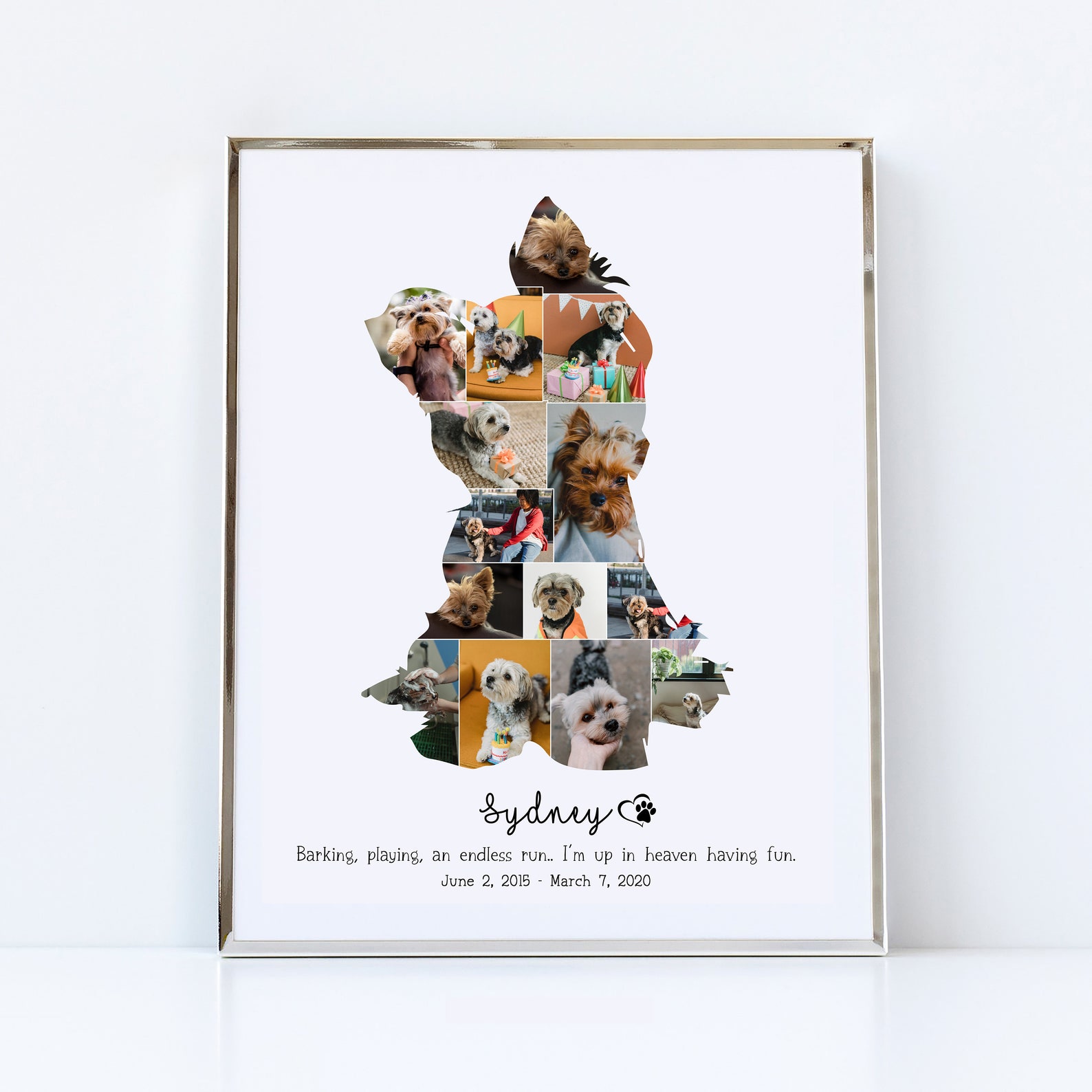 DIGITAL Yorkshire Terrier Photo Collage Gift for Dog Dog - Etsy