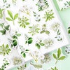 Gardenia / Single Sticker / 2x3 Inches - Etsy