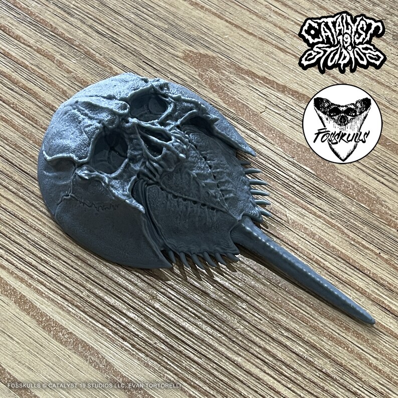 Skullshoe Crab FOSSKULLS Horseshoe Crab Skull Fossil - Etsy