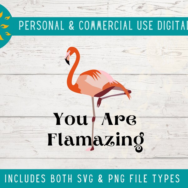 You Are Flamazing - Etsy