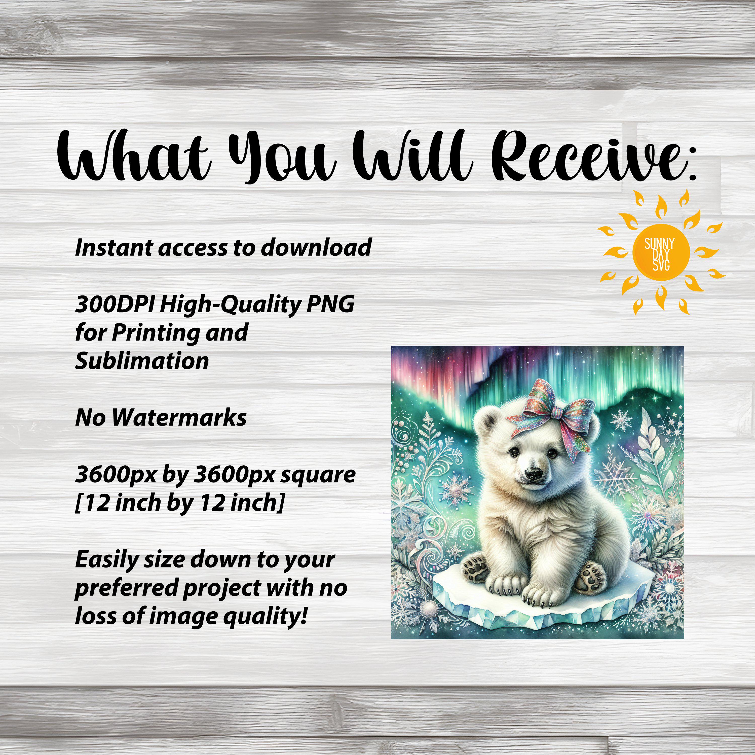 Cute Polar Bear Wind Spinner PNG, Colorful Winter Sublimation Designs ...