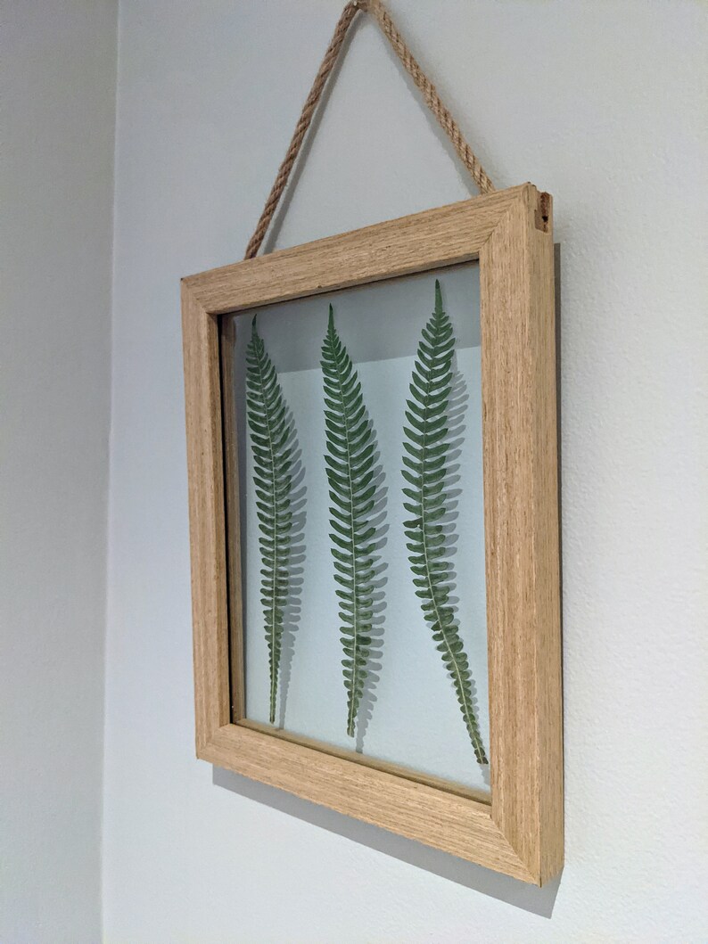 Forest Fern Frame Pressed Flower Frame Ferns Botanical Wall - Etsy