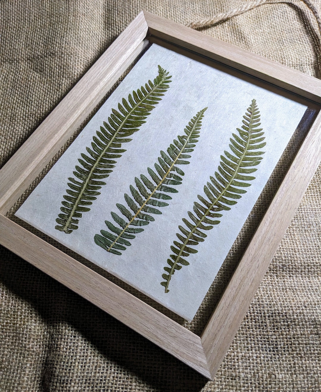 Forest Fern Frame, Pressed Flower Frame, Ferns, Botanical Wall Hanging ...