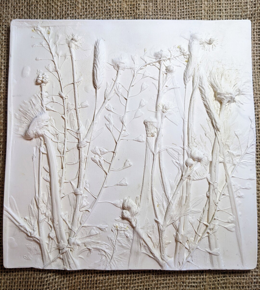 Meadow Flower Bas Relief Bas Relief Plaster Cast Tile - Etsy