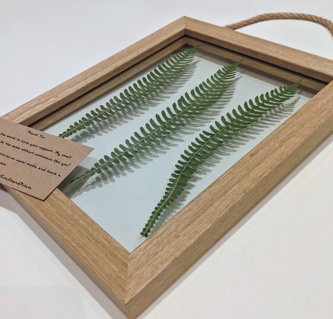 Forest Fern Frame Pressed Flower Frame Ferns Botanical Wall - Etsy