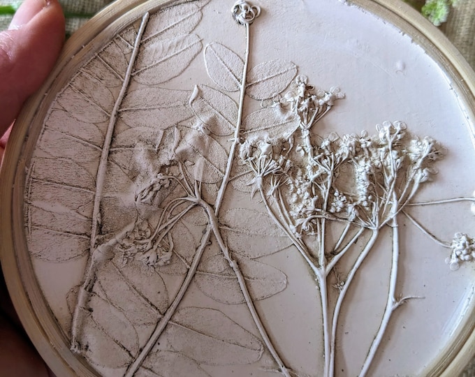 Botanical Plaster Cast, Cow Parsley Bas Relief, Floral Hangings ...