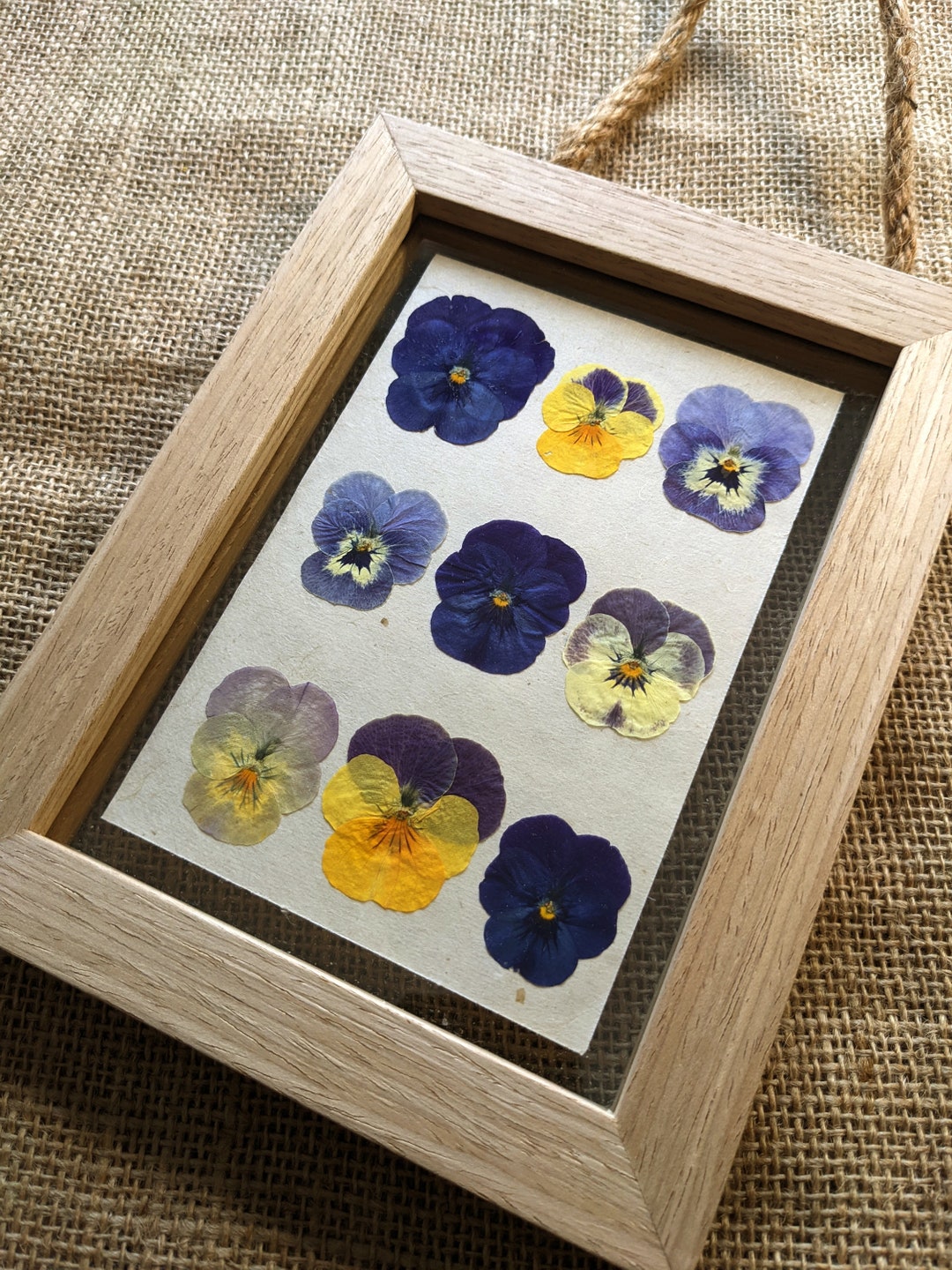 Floral Hanging Frame, Violas, Pressed Violas, Pressed Flower Floating ...
