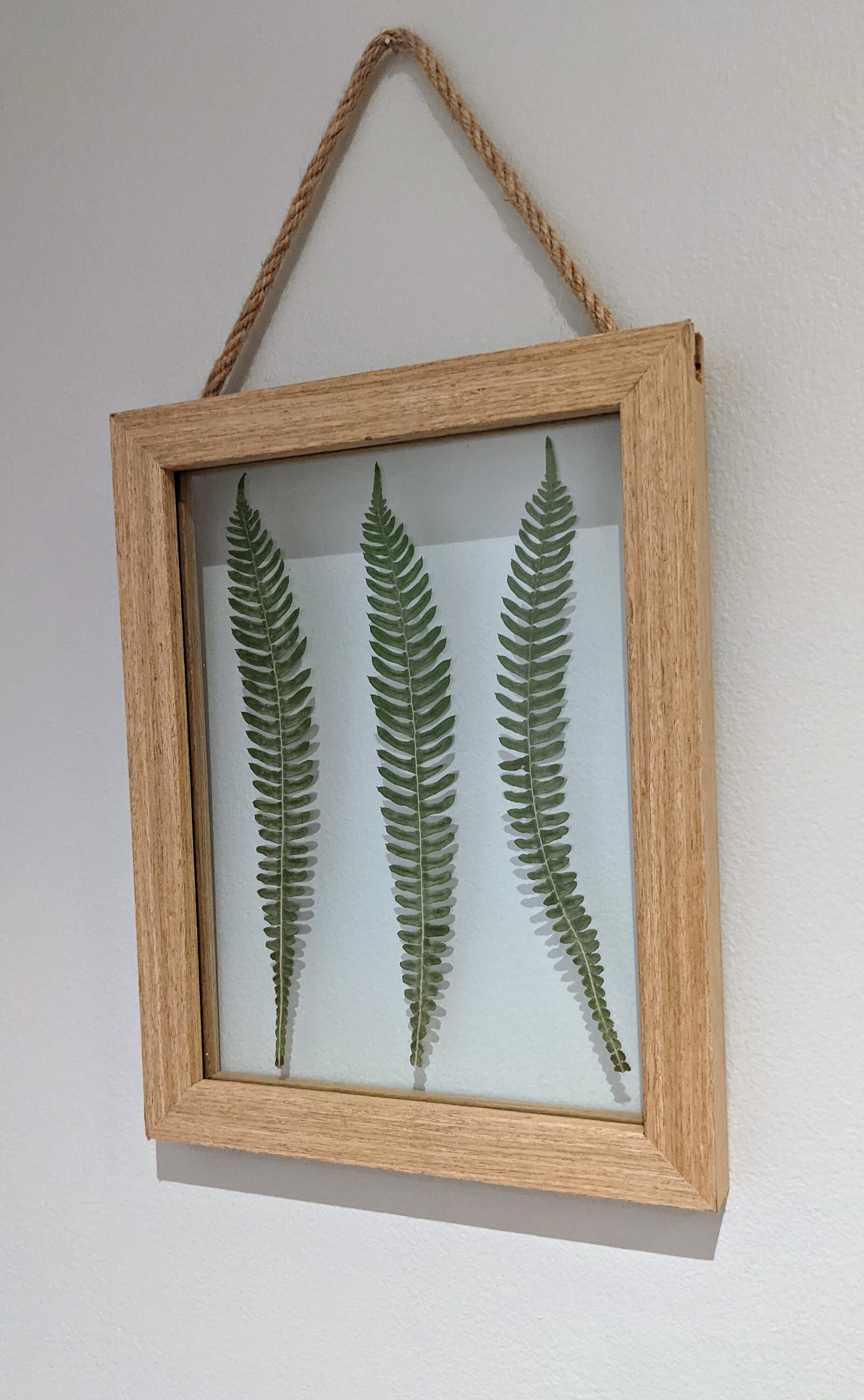Forest Fern Frame Pressed Flower Frame Ferns Botanical Wall - Etsy