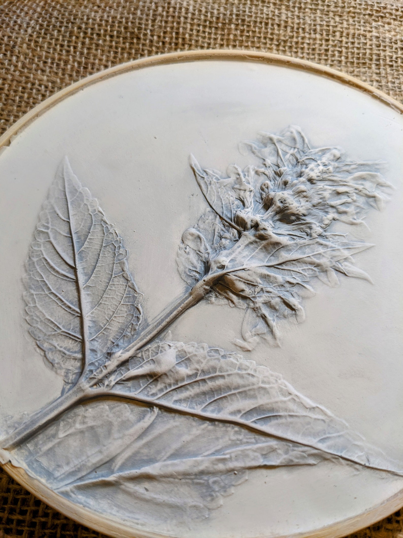 Botanical Plaster Cast, Bas Relief, Floral Hangings, Plaster Cast Tile ...