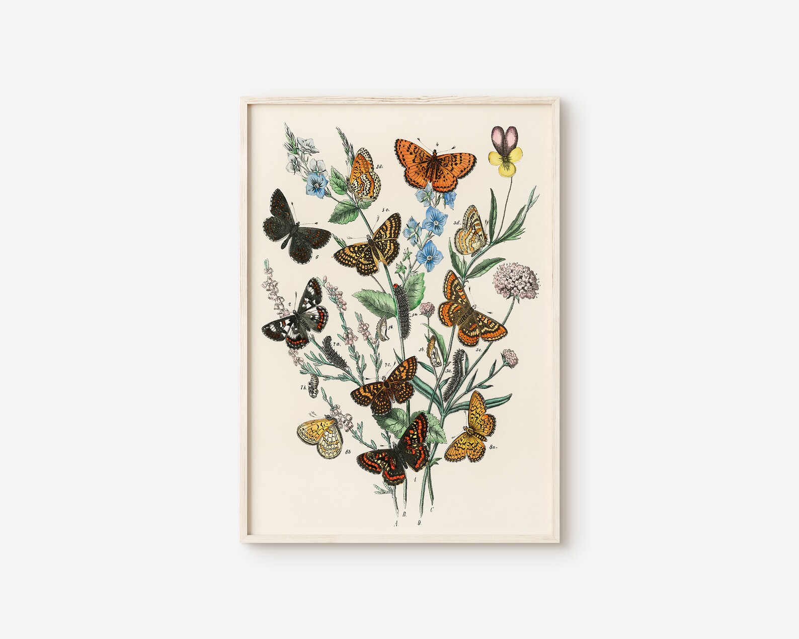 Eclectic Print Set of 6 Gallery Wall Set Eclectic Decor - Etsy