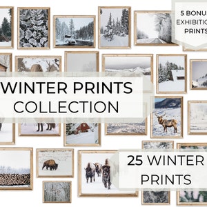 Winter Gallery Wall Art Set of 25 Art Prints Download, Winter Print Set ...