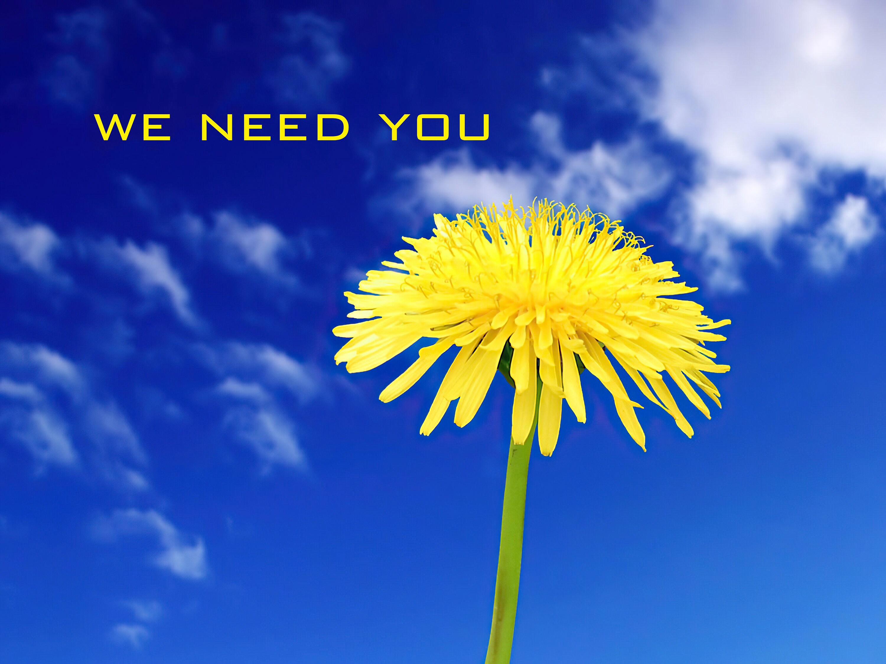 We Need You in These Hard Times! Thank You for Being With Us. It Means ...