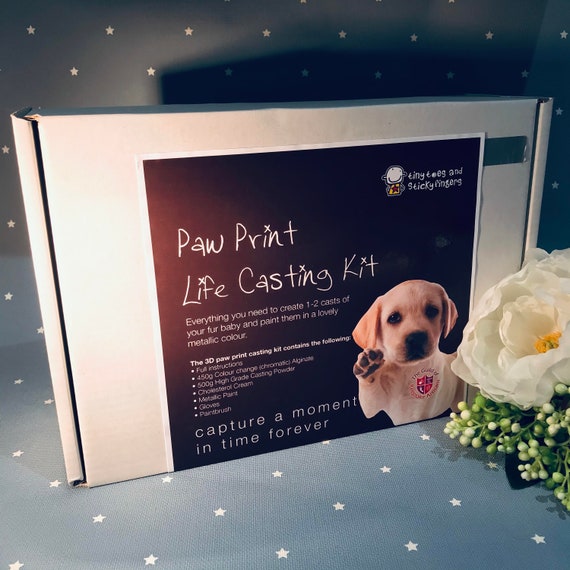 3D Paw Print Life Casting Kit | Etsy