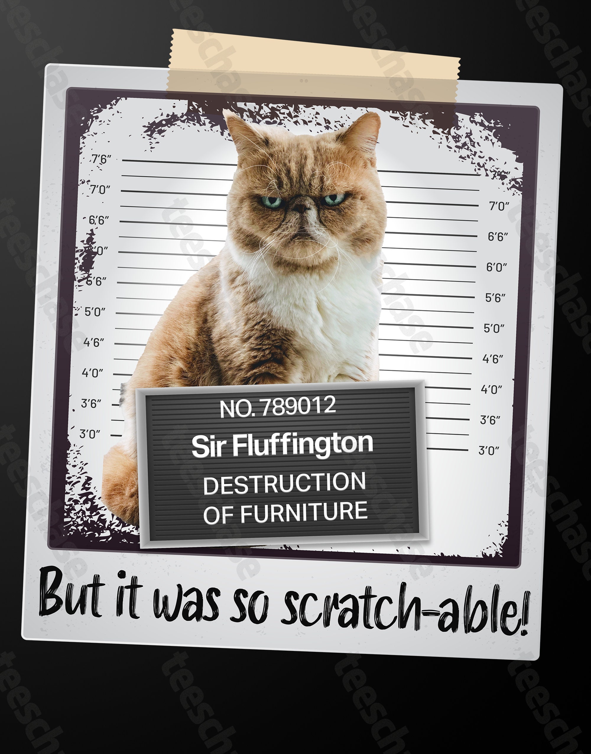 Funny Cat Mugshot Custom Pet Portrait Tee Personalized Pet Name Photo ...