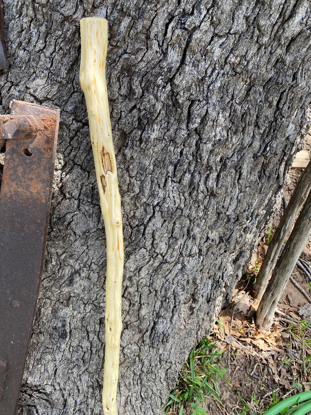 Texas Cedar Walking / Hiking Stick. 7 - Etsy