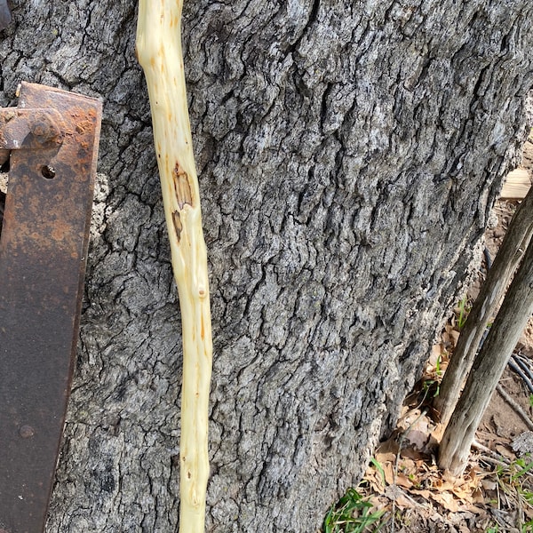 Cedar Walking Stick - Etsy
