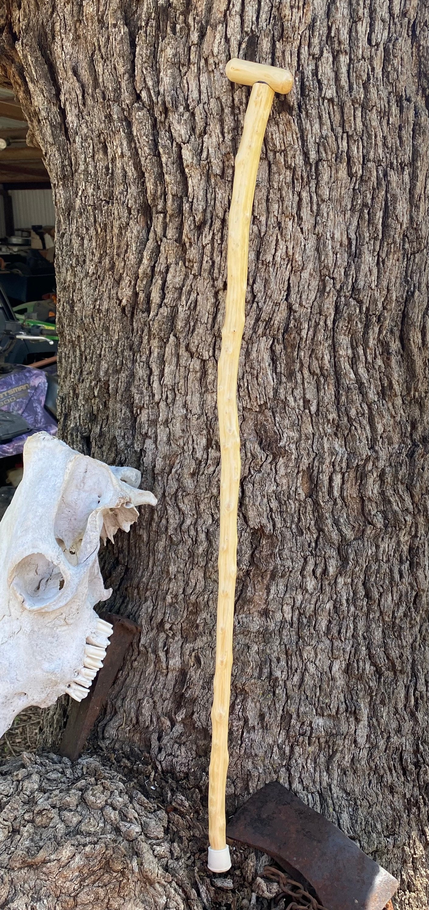 Texas Cedar Walking/hiking Stick. 9 - Etsy