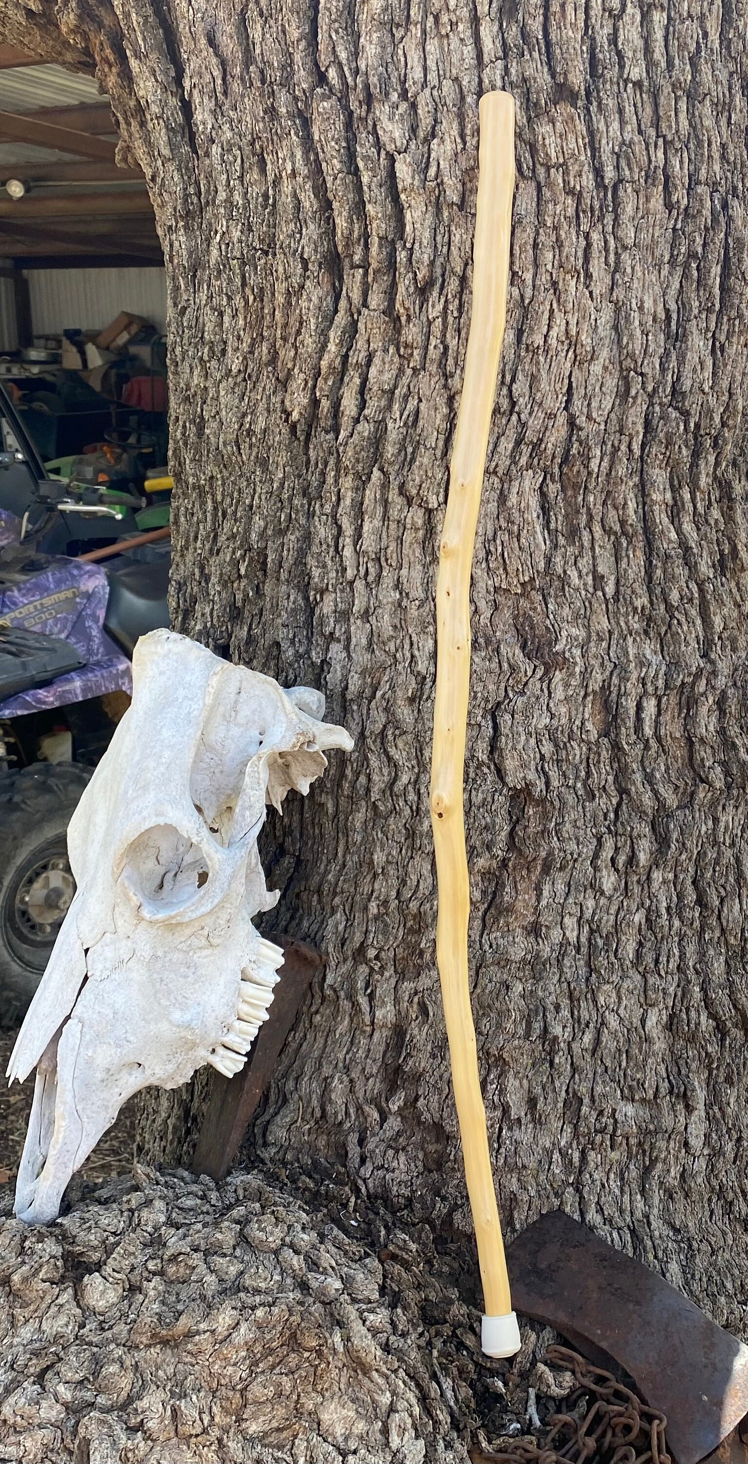 Texas Cedar Walking/hiking Stick. 8 - Etsy