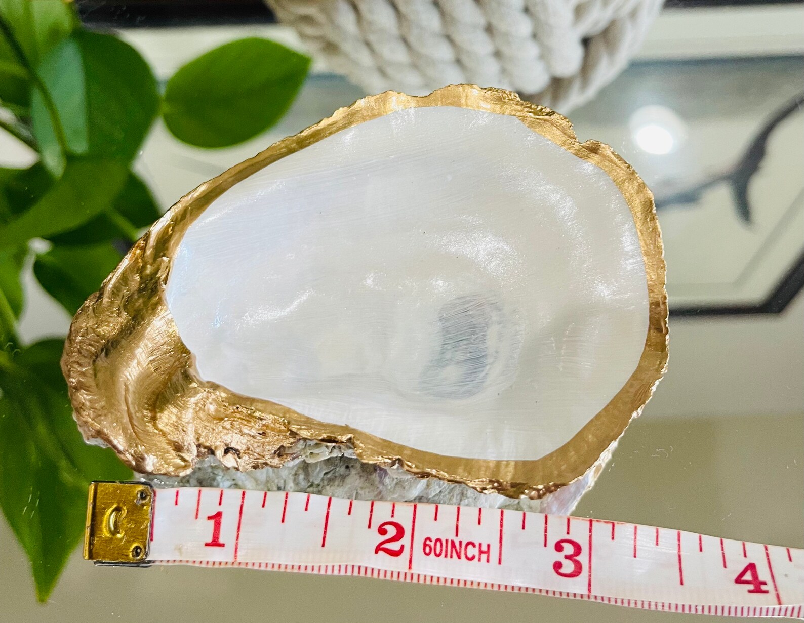 Gold Rim Oyster Shell Trinket Dish Ring Dish Oysters - Etsy
