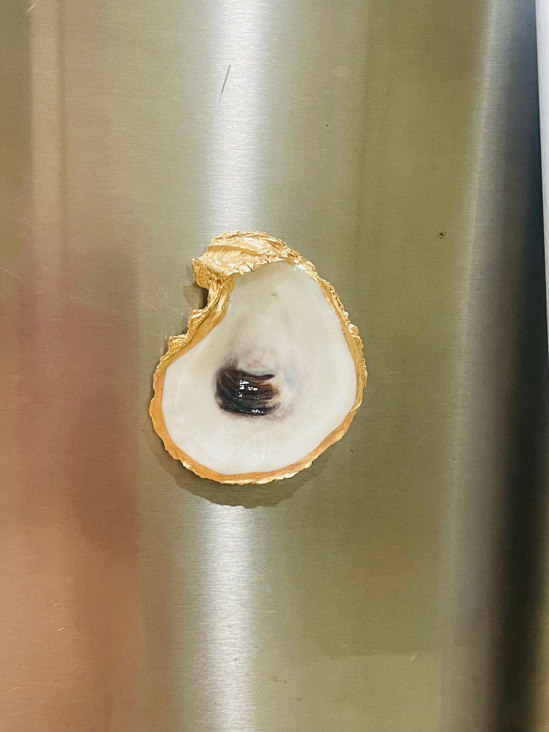 Oyster Magnet, Shell Magnet, Magnet, Fridge Magnet, Oyster Art , Shell ...