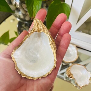 Gold Rim Oyster Shell, Trinket Dish, Ring Dish, Oysters, Oyster Shells ...