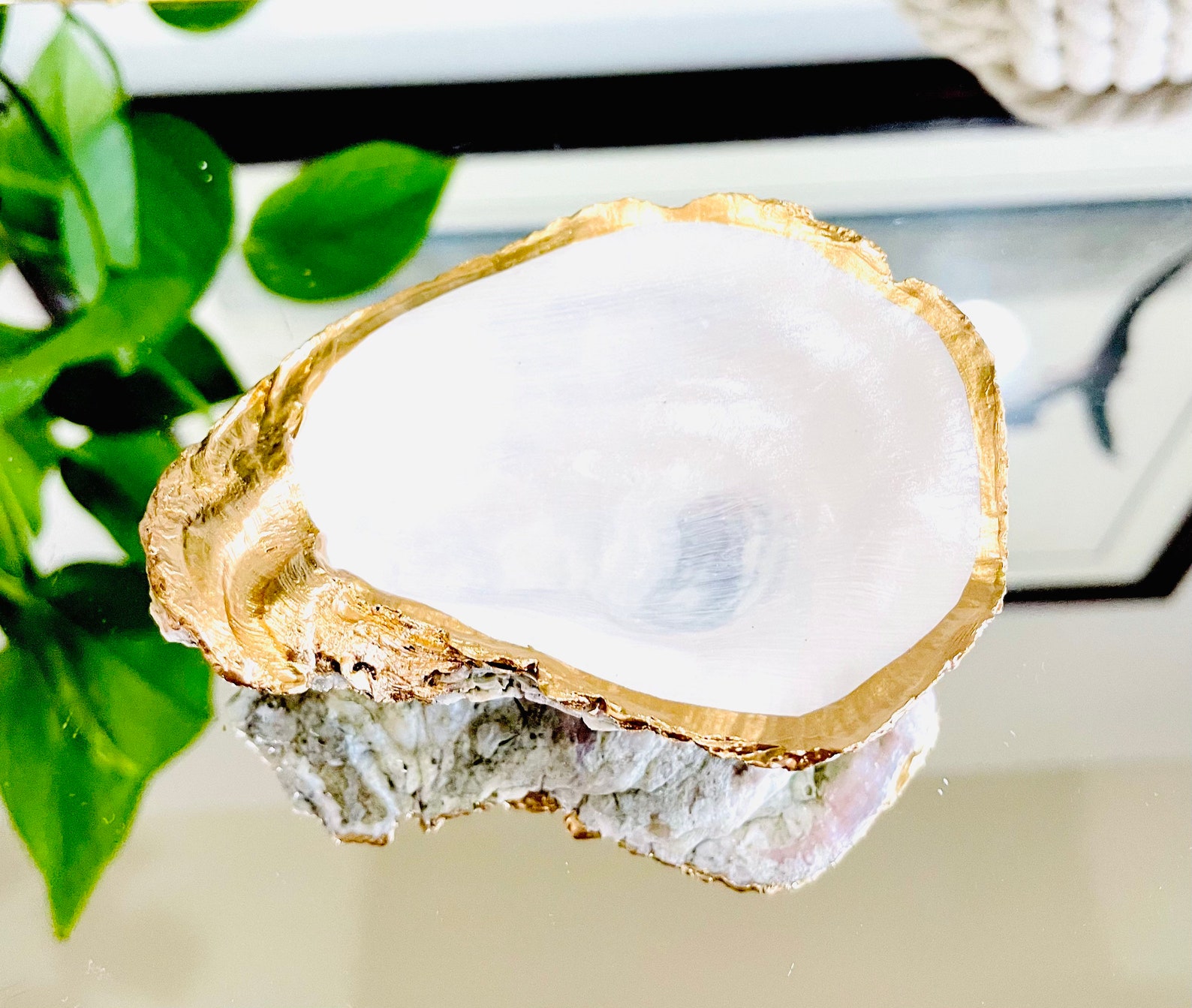 Gold Rim Oyster Shell Trinket Dish Ring Dish Oysters - Etsy