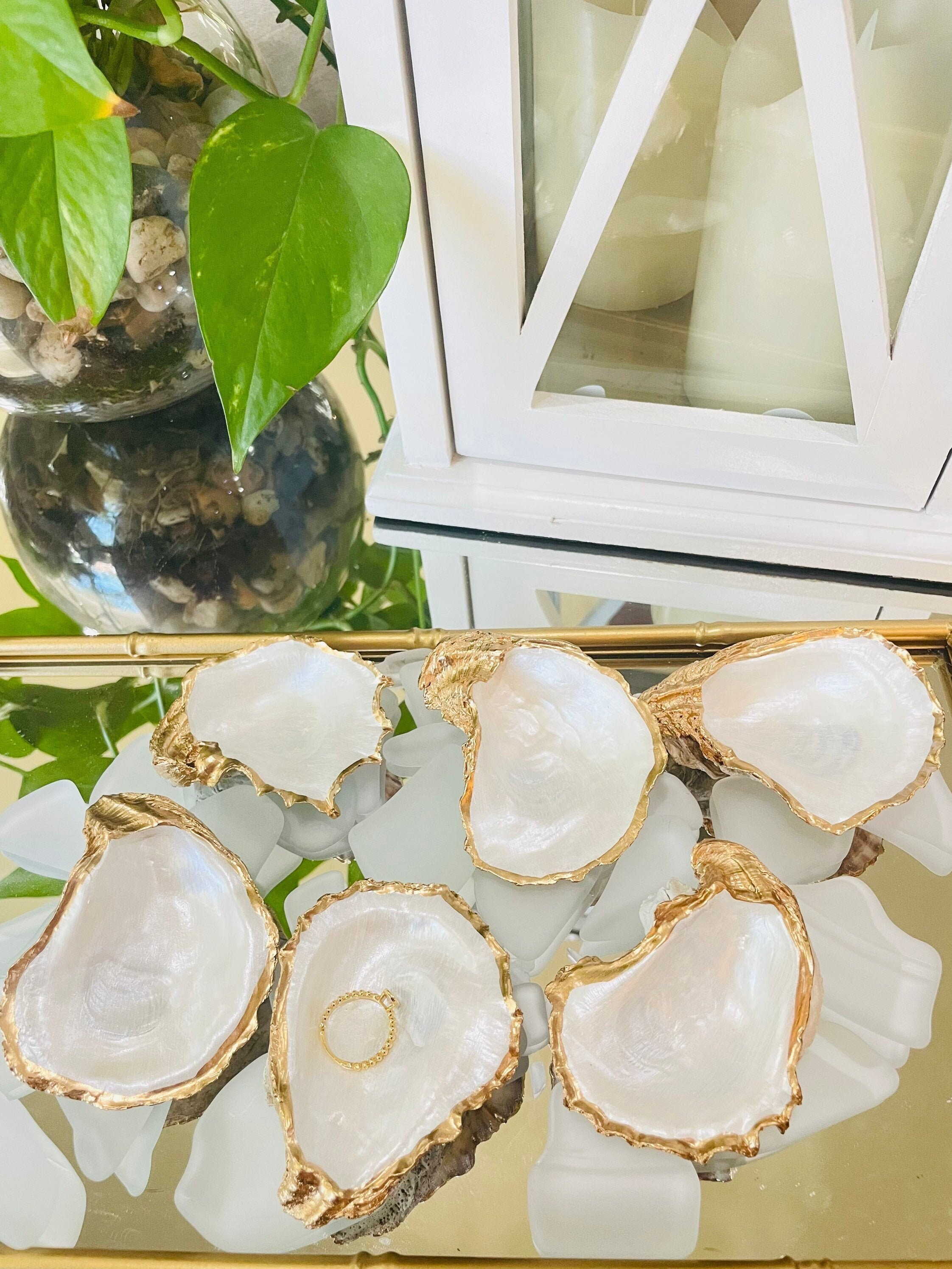 Gold Rim Oyster Shell Trinket Dish Ring Dish Oysters - Etsy