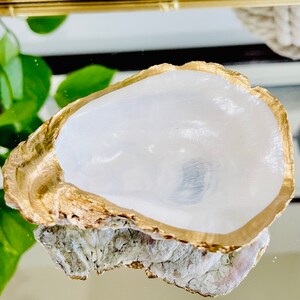 Gold Rim Oyster Shell, Trinket Dish, Ring Dish, Oysters, Oyster Shells ...