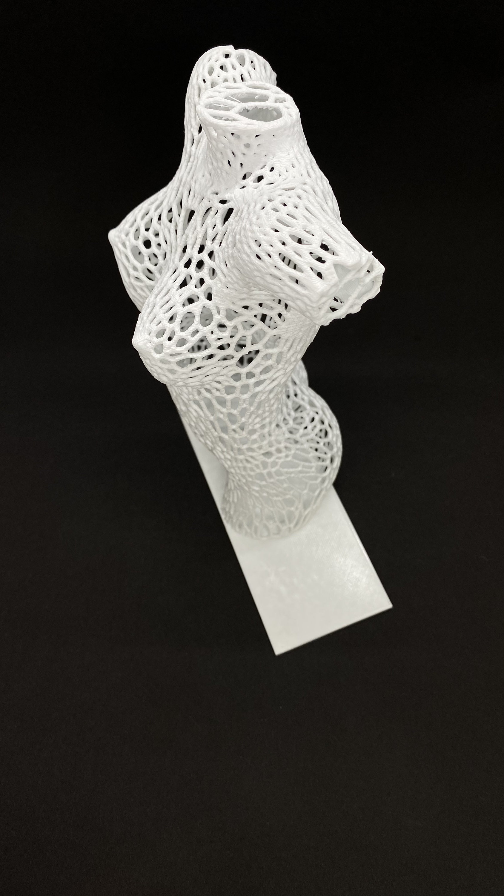 Female Torso Wireframe Bookend / 3D Printed - Etsy Australia