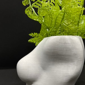 Female Chest Planter Pot / 3D Printed - Etsy
