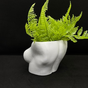Female Chest Planter Pot / 3D Printed - Etsy