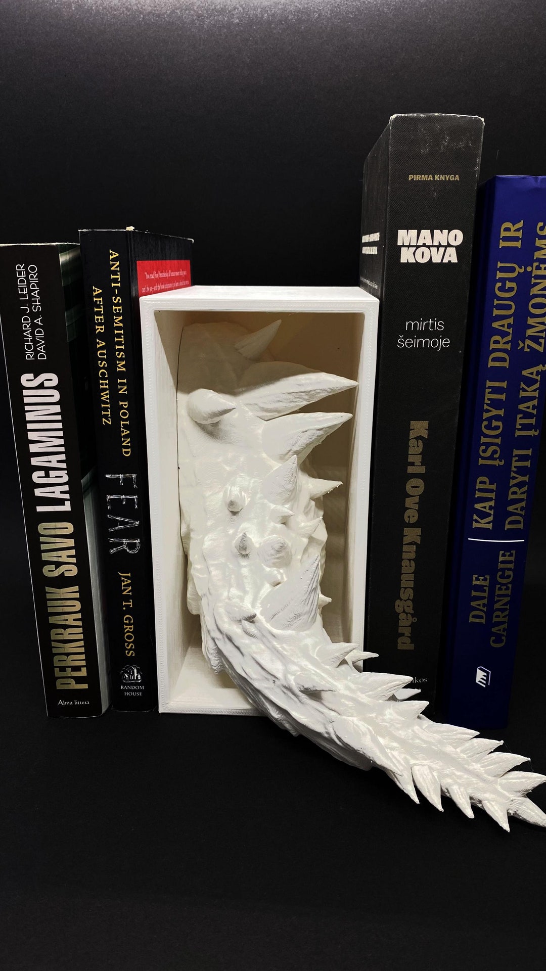 Dragon Tail Book Nook / 3D Printed - Etsy