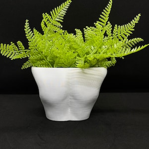 Female Chest Planter Pot / 3D Printed - Etsy