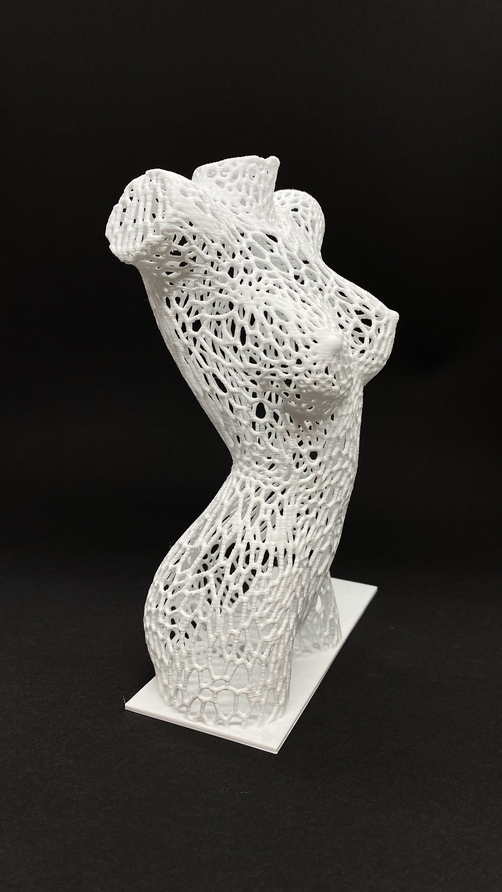 Female Torso Wireframe Bookend / 3D Printed - Etsy Australia