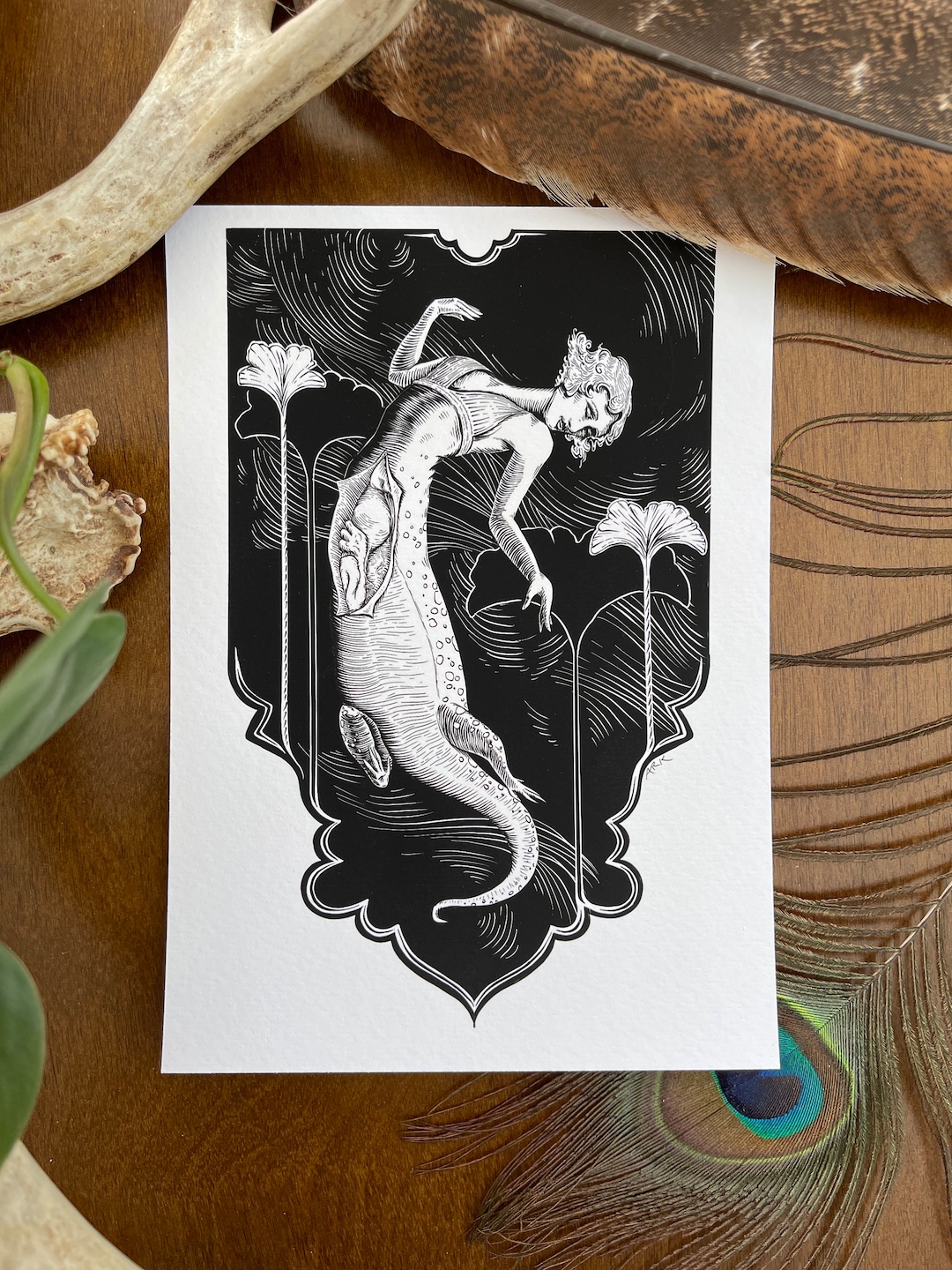 Pond Mermaid Diessection Black and White Art Nouveau Drawing Print ...