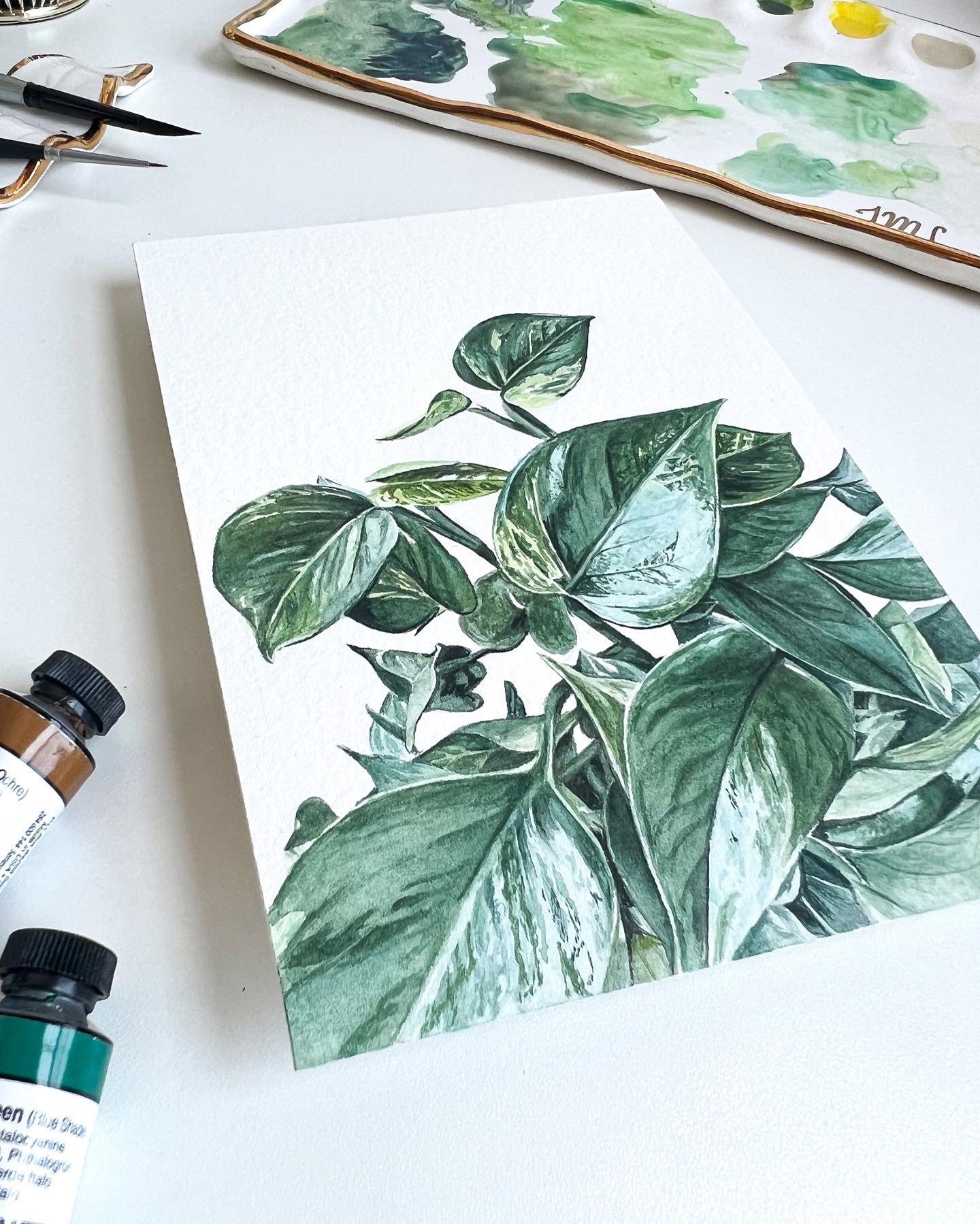 Pothos Watercolor Painting | Watercolor Print | Giclee Print | Foliage ...