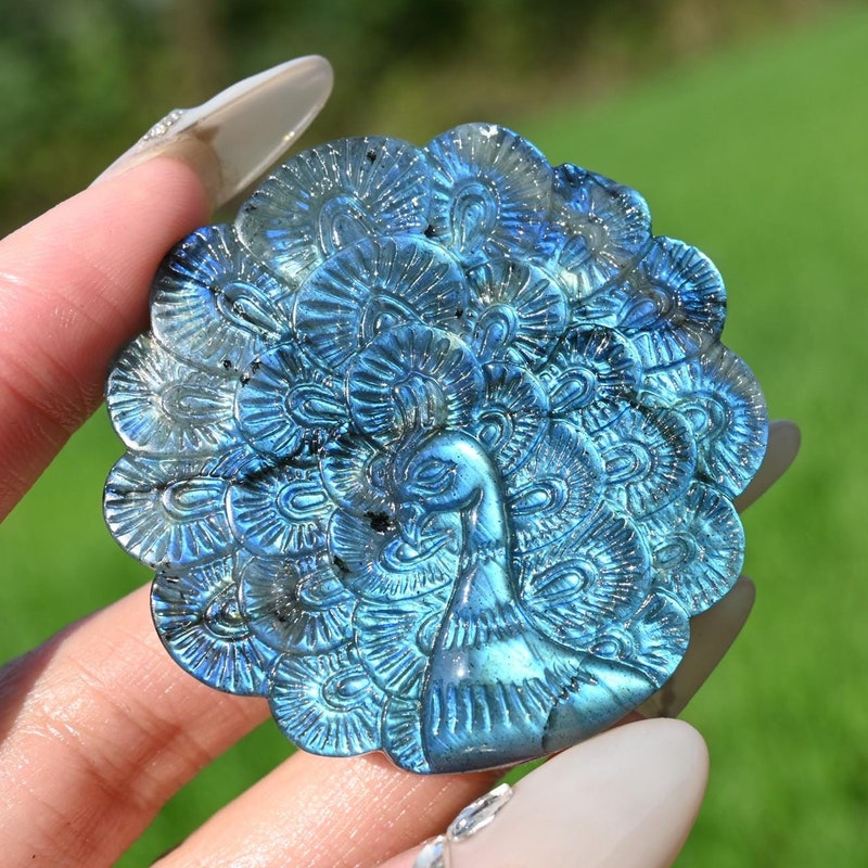 Peacock Home Decor - Etsy