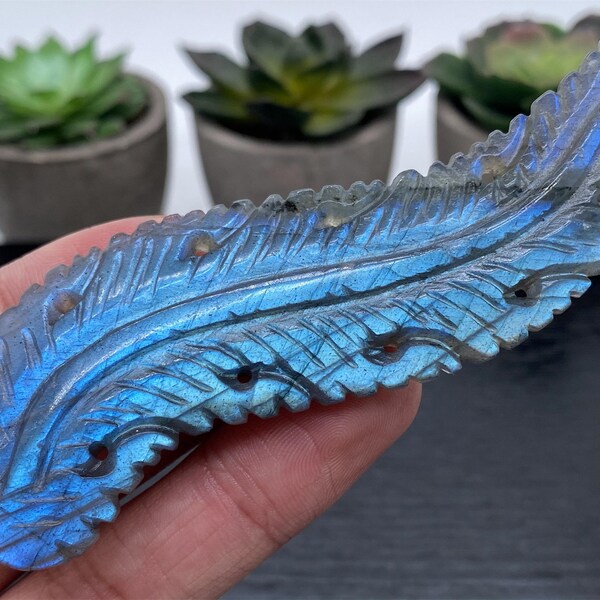 Carved Feather - Etsy