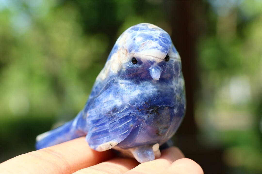 2.4 Natural Sodalite Carved Bird,crystal Sodalite Bird,creative Crystal ...