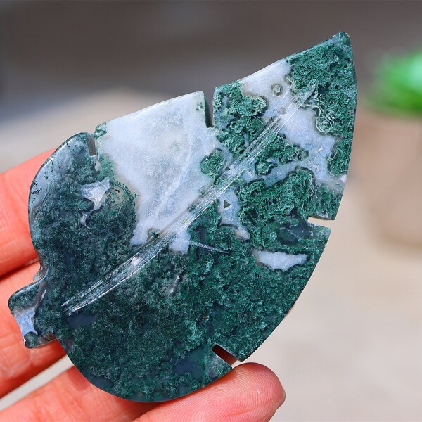 Agate - Etsy