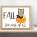 Fall Owl SVG Fall SVG Owl Svg Fall Decor Fall Owl Decor Fall Shirts ...