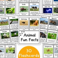 30 ANIMAL FACTS | Flashcards | Farm Animals | Zoo Animals | Wildlife ...