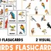 Visual Timer Flashcards Countdown Cards Behavior Visuals Classroom ...
