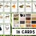 Animal Habitats | Animal Sorting Activity, Animal Activities, Busy Book ...