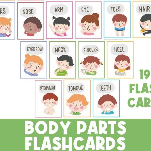 Body Parts Flashcards Preschool Flash Cards 3-part Cards - Etsy