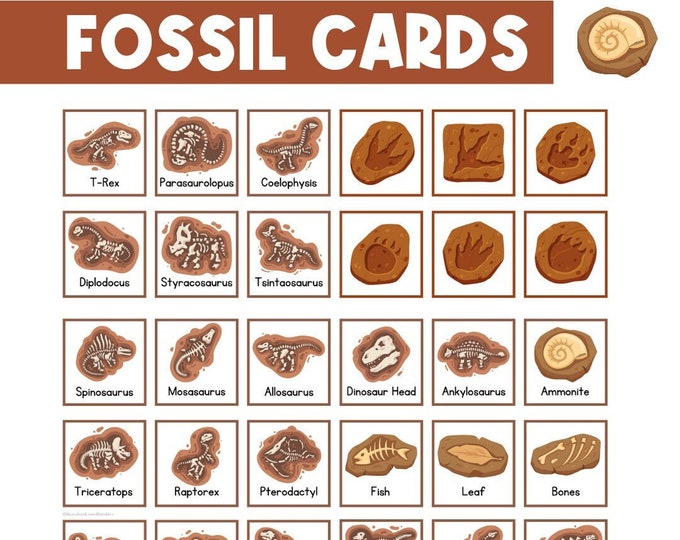 30 FOSSIL CARDS | Dinosaur | Bulletin Board | Prehistoric | Ancient ...