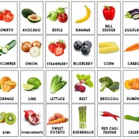 30 Pairs Vegetable Memory Game; Vegetable Matching Cards; Vegetable ...