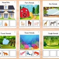 Animal Habitats Sorting Activity | Cut & Paste | Animal Habitats ...