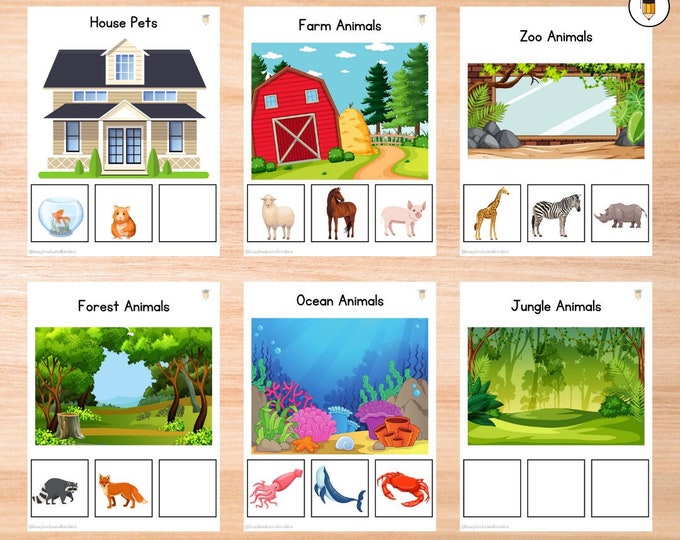 Animal Print | Matching Sorting Activity | Animal Activities | Busy ...